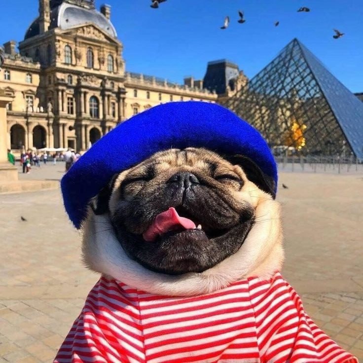 Telegram channel "MineBlaze — Minecraft сервер" — @mine_blaze — TGStat